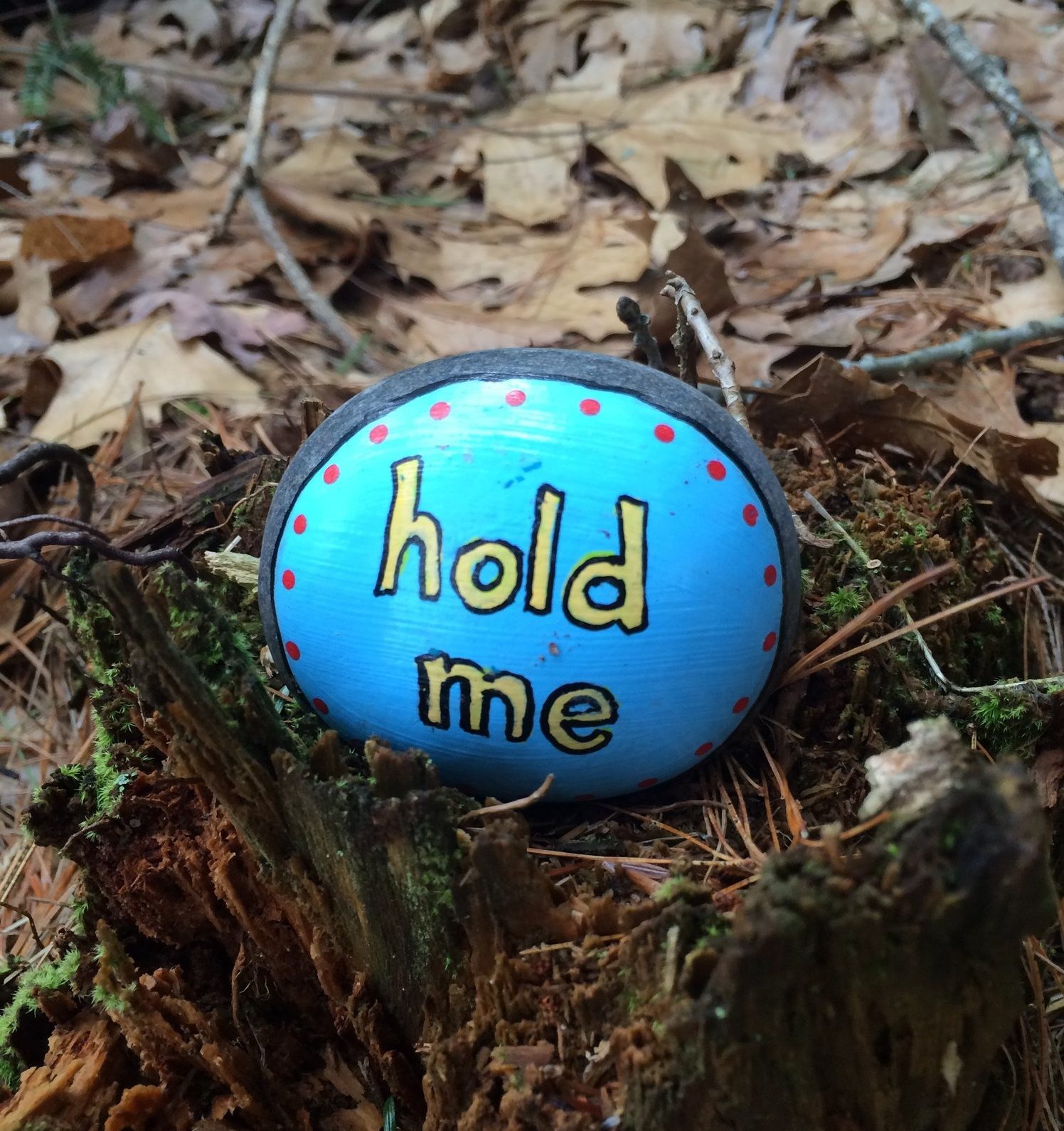 What's Your Story? | The Pandemic Journaling Project